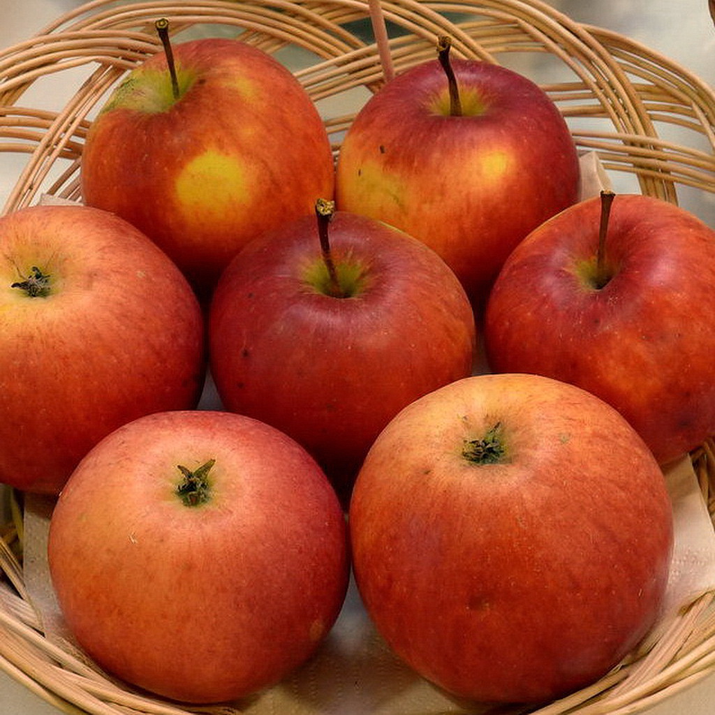 Resi - Kreisverband Traunstein für Gartenkultur und Landespflege e.V.